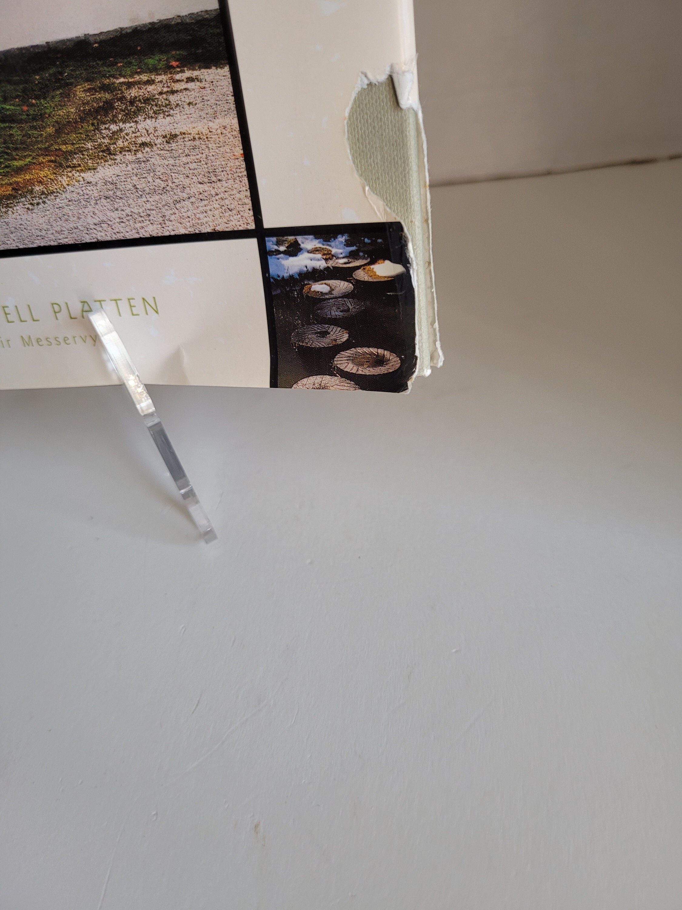 The Lure of the Japanese Garden Alison Main Newell Platten - Etsy