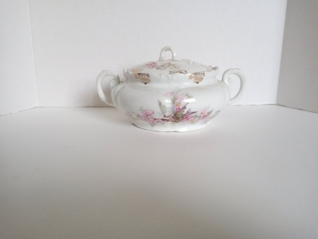 Vintage Victorian Roses and Birds Fine Porcelain Covered Container ...