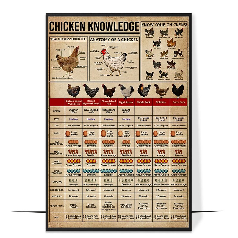Chicken Breeds Poster - Etsy