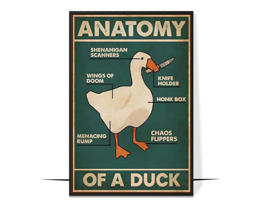 Knowledge Poster, Anatomy of A Duck Retro Poster Restaurant Cafe Living ...