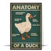 Knowledge Poster, Anatomy of A Duck Retro Poster Restaurant Cafe Living ...