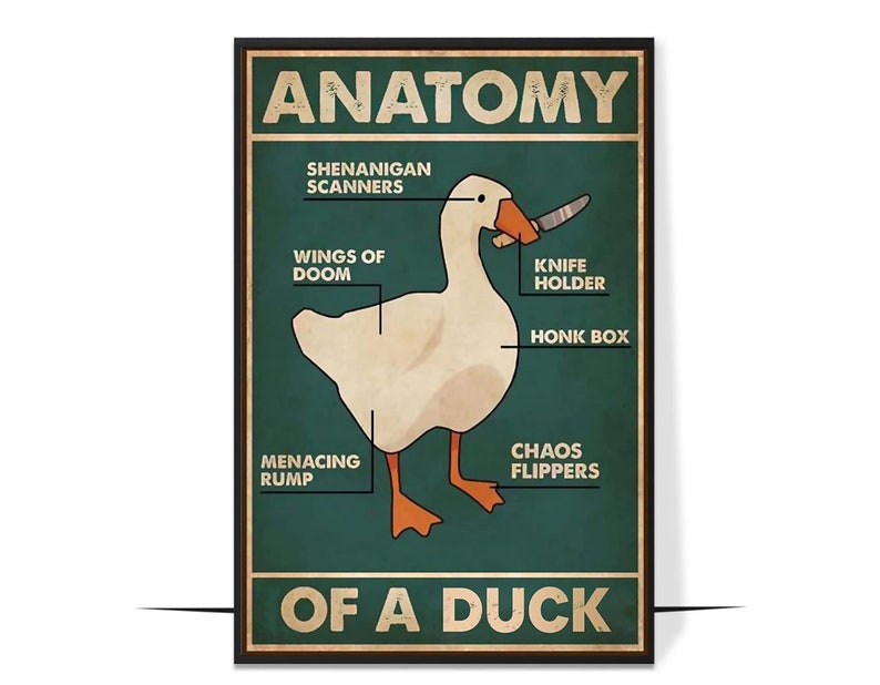 Knowledge Poster, Anatomy of A Duck Retro Poster Restaurant Cafe Living ...