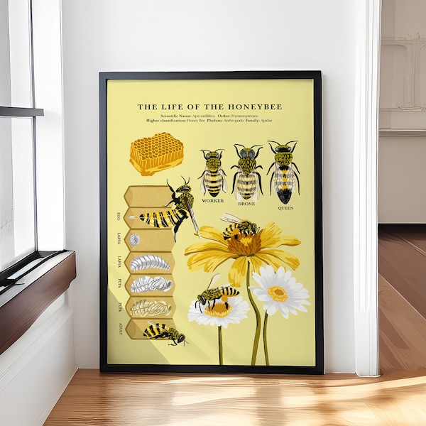 Bee Poster - Etsy