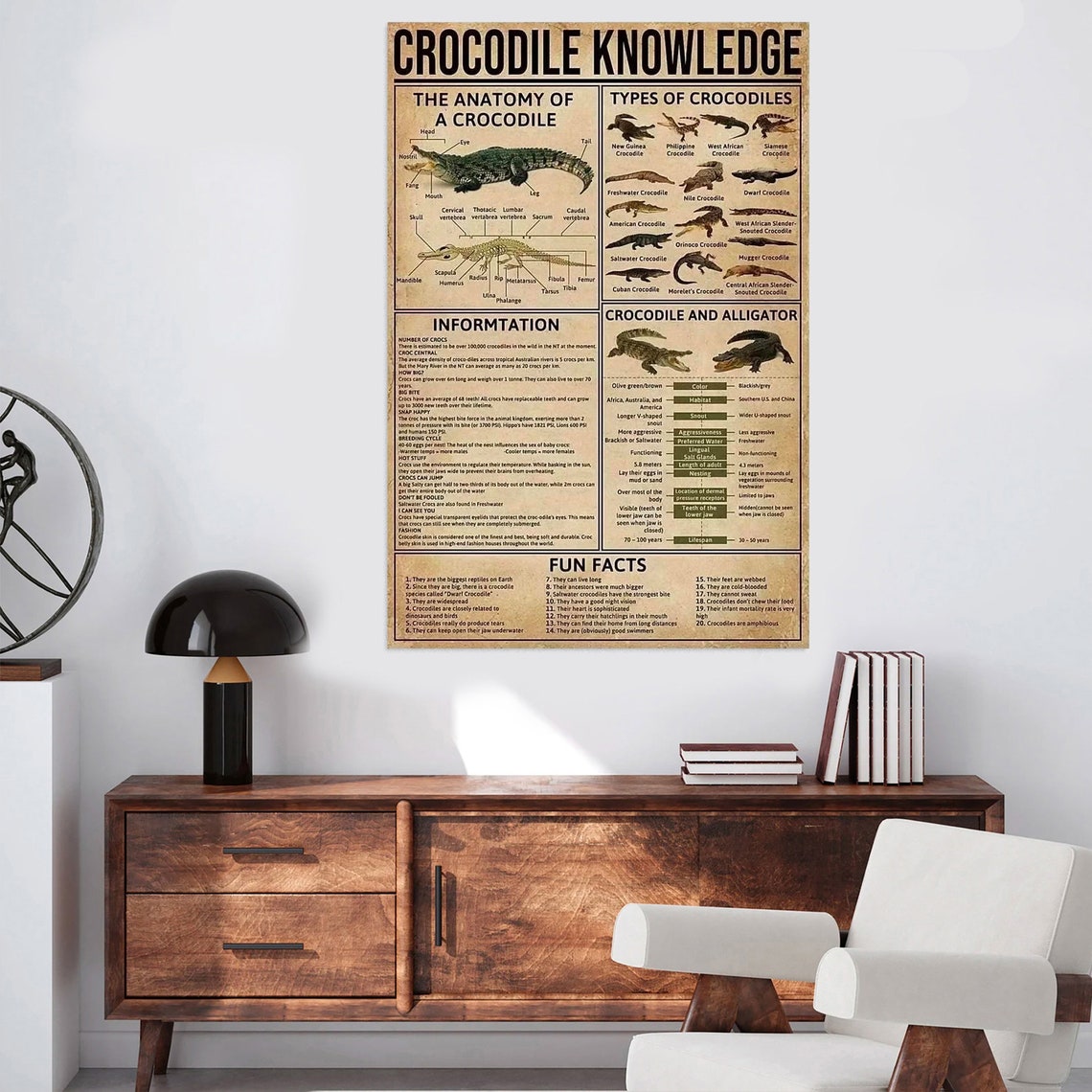 Crocodile Knowledge Poster – Anatomy & Fun Facts – Educational ...