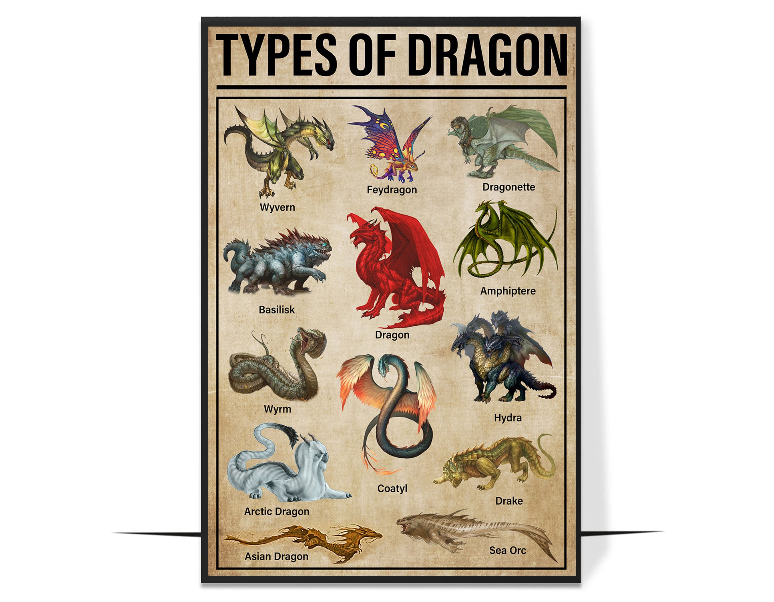 Types of Dragon Knowledge Poster/canvas , Knowledge Poster, Vintage ...