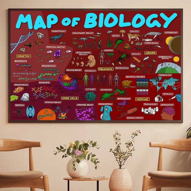 Biology Poster - Etsy