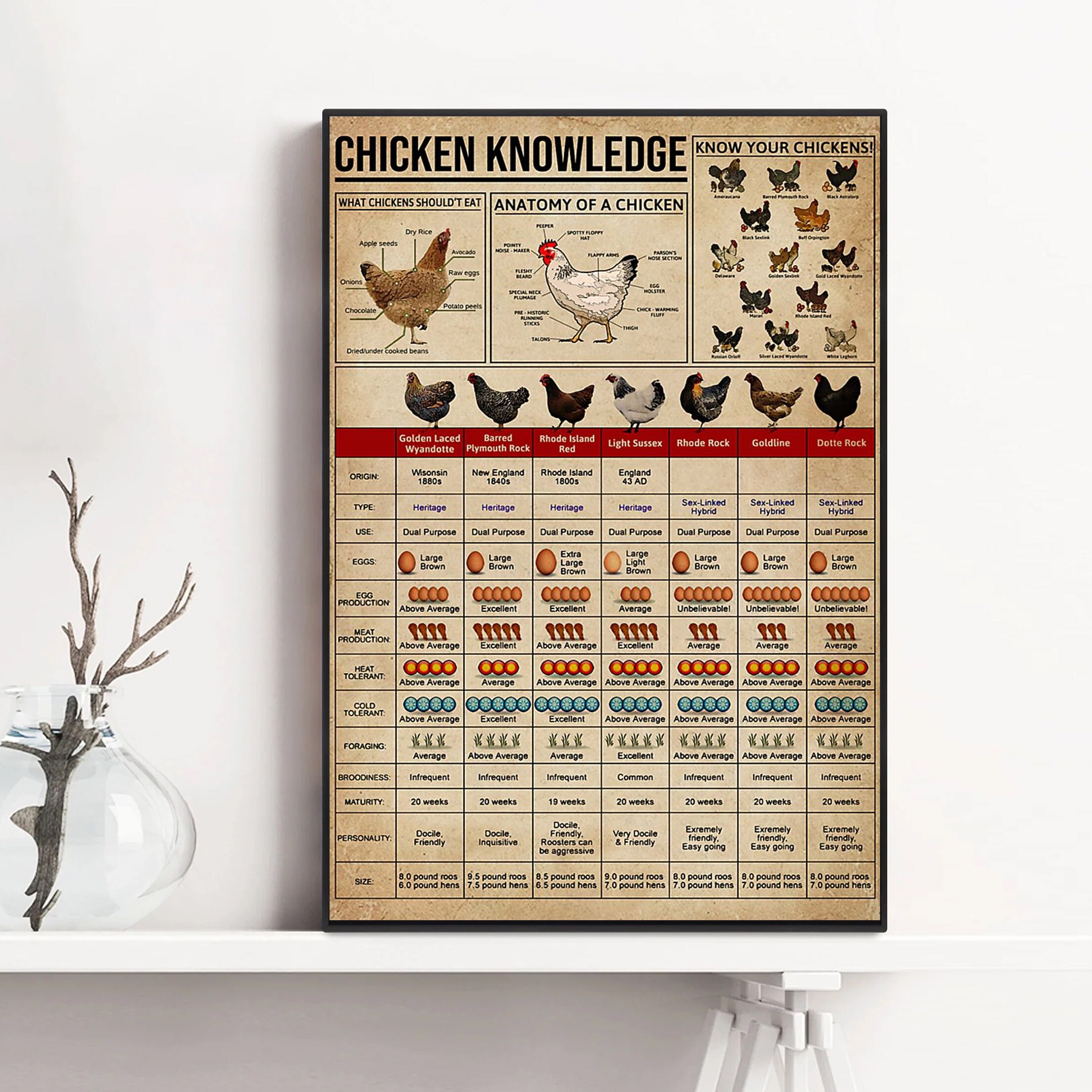 Chicken Knowledge Poster Anatomy of A Chicken Chicken Types - Etsy