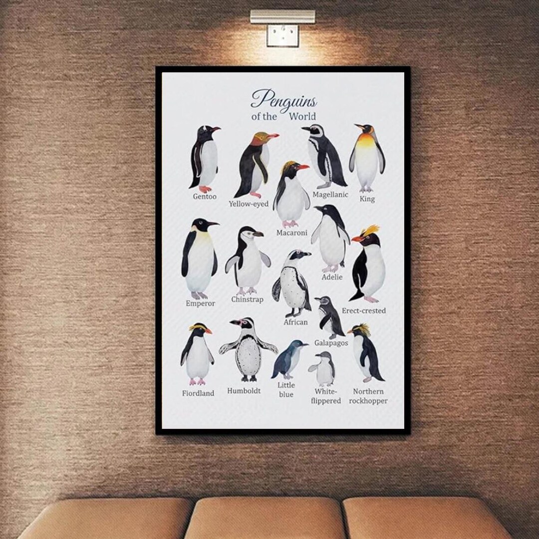 Penguins of the World Vintage Poster/canvas, Types of Penguin Retro ...