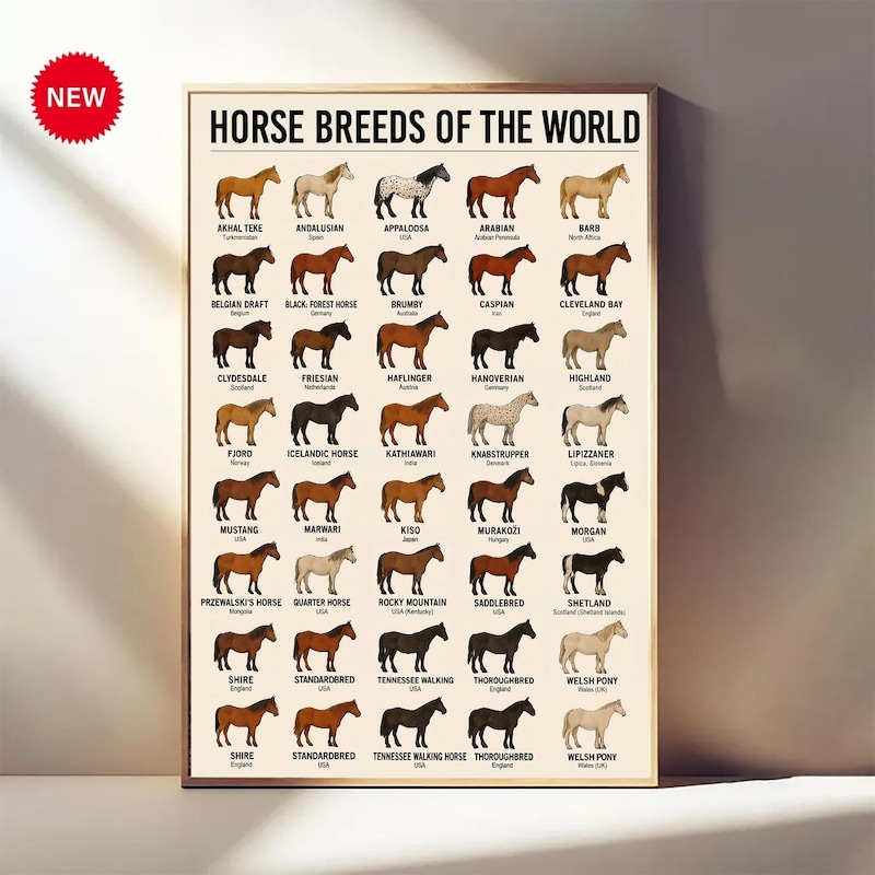 Horse Breed Chart - Etsy