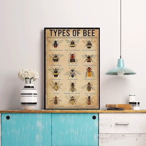 Types of Bee Retro Nostalgic Art Print Poster, Bee Types Canvas Poster ...