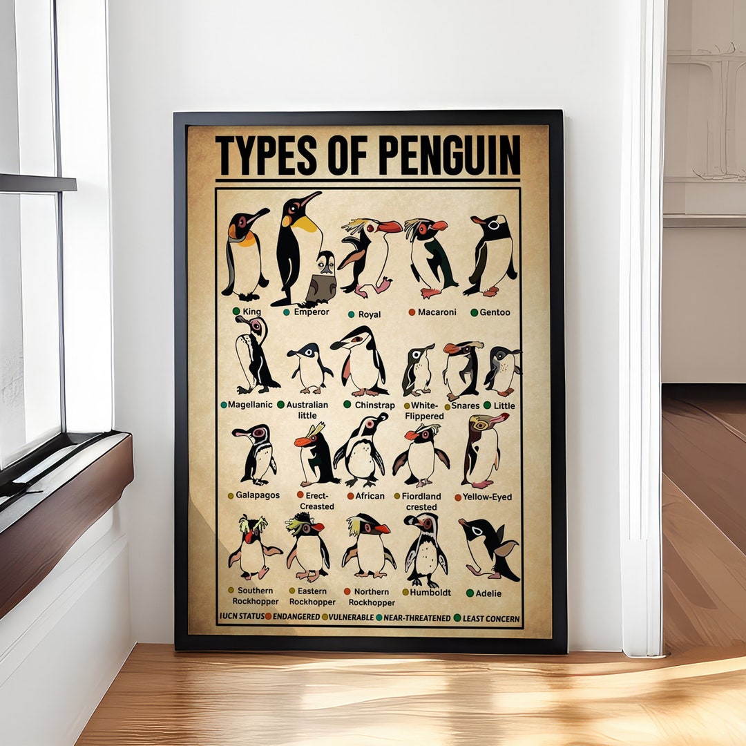 Types of Penguin Poster/canvas, Penguin Lover Gift, Penguin Art Print ...