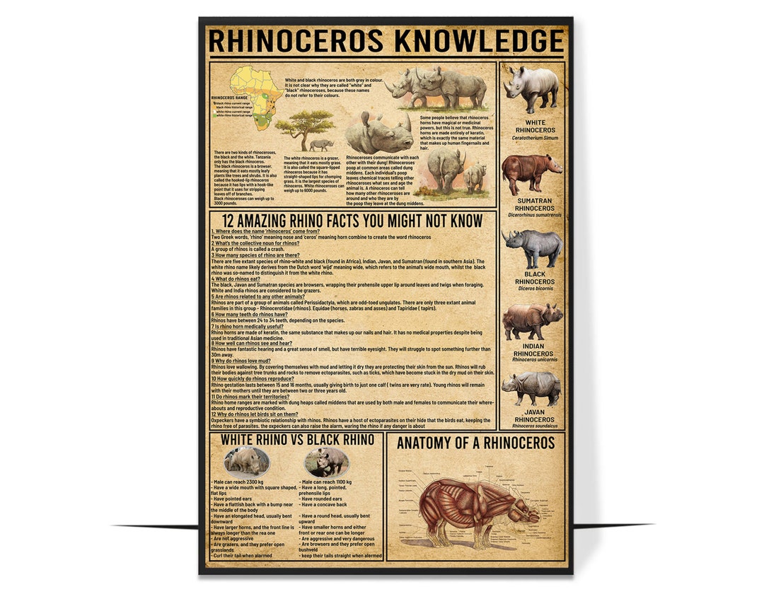 Rhinoceros Knowledge Poster - Wildlife Facts Wall Art, Rhino ...