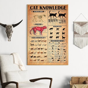 Cat Knowledge Poster, Cat Skeletal Anatomy, Cat Muscles, Cat Breeds of ...