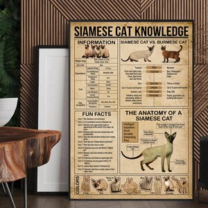 Siamese Cat Knowledge Poster, Vintage Poster, Decor Wall, Knowledge ...