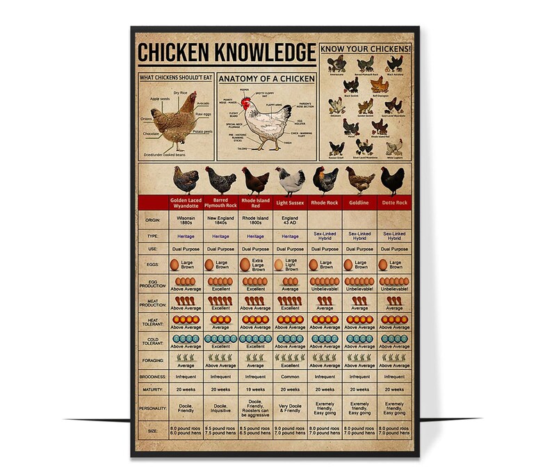Chicken Knowledge Poster Anatomy of A Chicken Chicken Types - Etsy