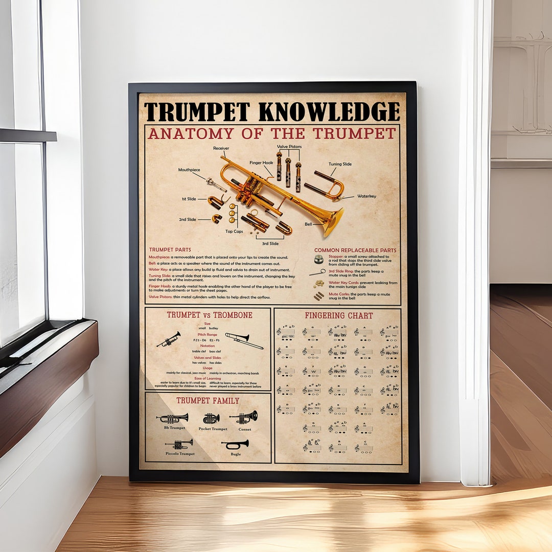 Trumpet Knowledge Poster/canvas, Anatomy of the Trumpet Portrait No ...