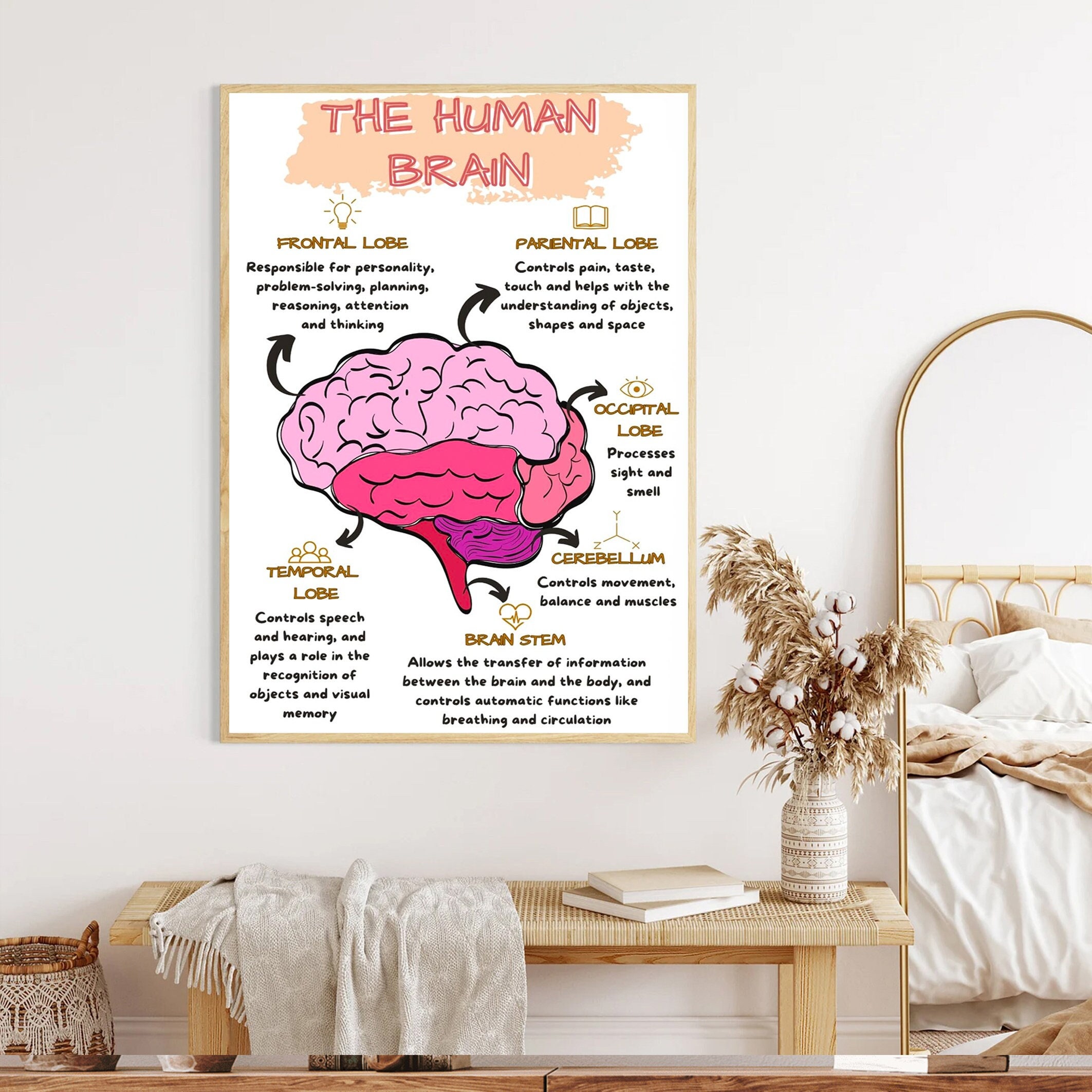 The Human Brain Poster Mental Health Office Print Therapy - Etsy