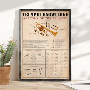 Trumpet Knowledge Poster/canvas, Anatomy of the Trumpet Portrait No ...