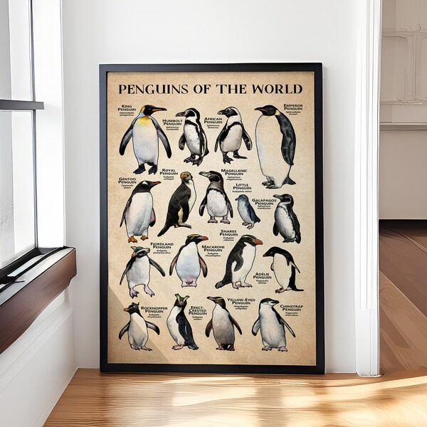 Penguin Poster Species - Etsy