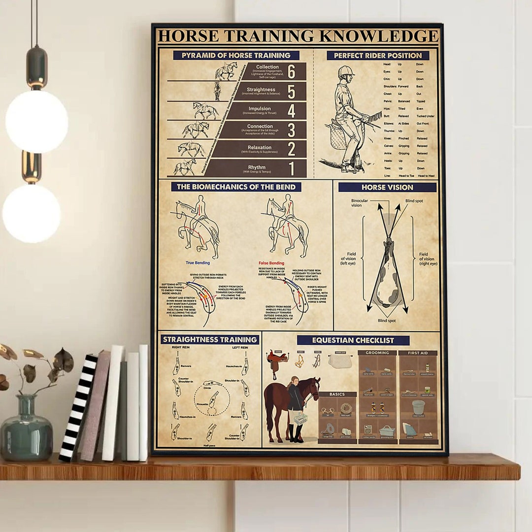 Horse Training Knowledge Poster, Canvas, Vintage Equestrian Art ...