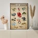 Types of Dragon Knowledge Poster/canvas , Knowledge Poster, Vintage ...