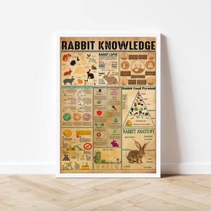 Rabbit Knowledge Poster, Rabbit Lover Gift, All About Rabbit, Vintage ...