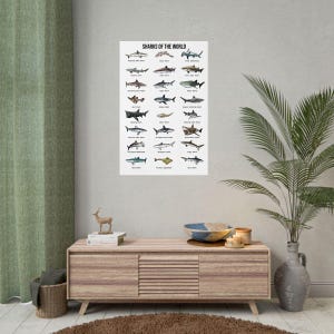 Sharks of the World Retro Poster/canvas, Sharks Vintage Poster, Shark ...