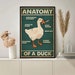 Knowledge Poster, Anatomy of A Duck Retro Poster Restaurant Cafe Living ...