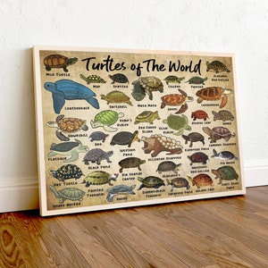 Tortoises of the World Retro Poster, Sea Turtle Poster, Tortoises ...
