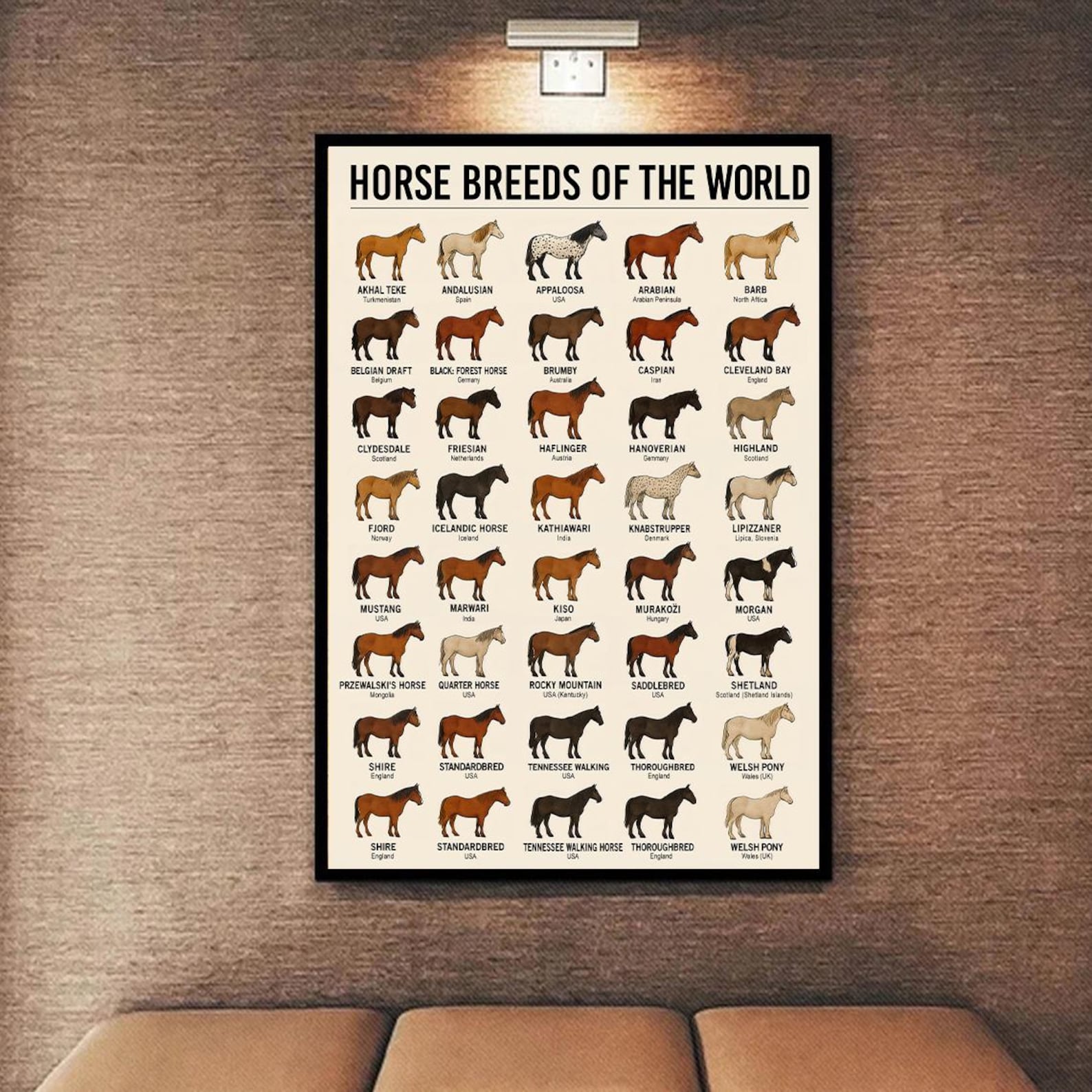 Horse Breeds of the World Poster – Educational Horse Chart – Equestrian ...
