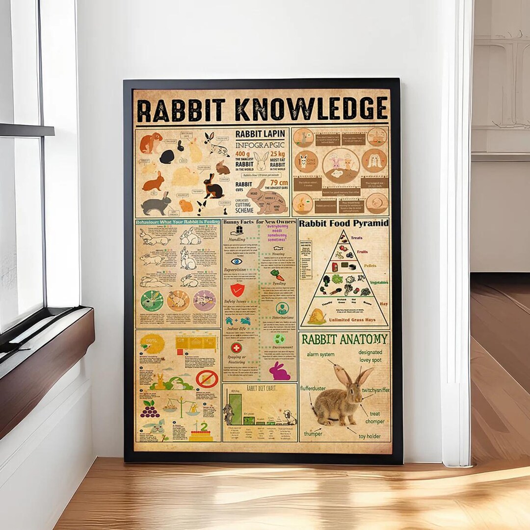 Rabbit Knowledge Poster, Rabbit Lover Gift, All About Rabbit, Vintage ...