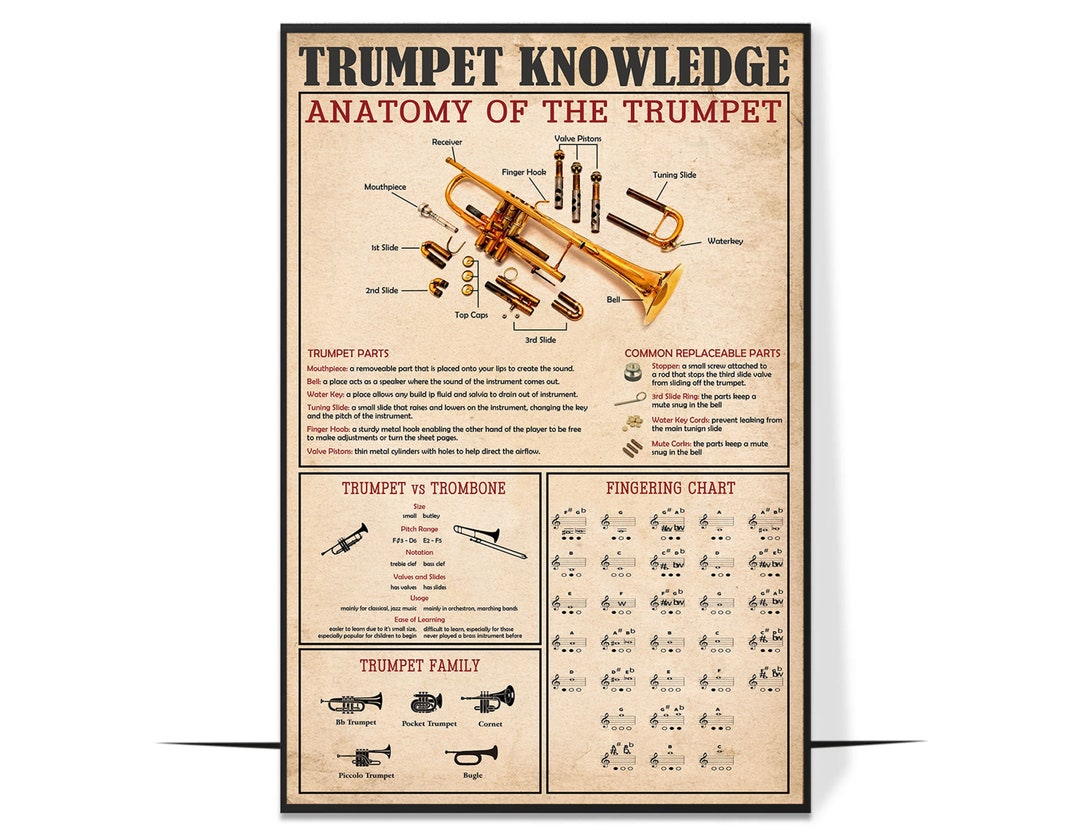Trumpet Knowledge Poster/canvas Anatomy of the Trumpet - Etsy