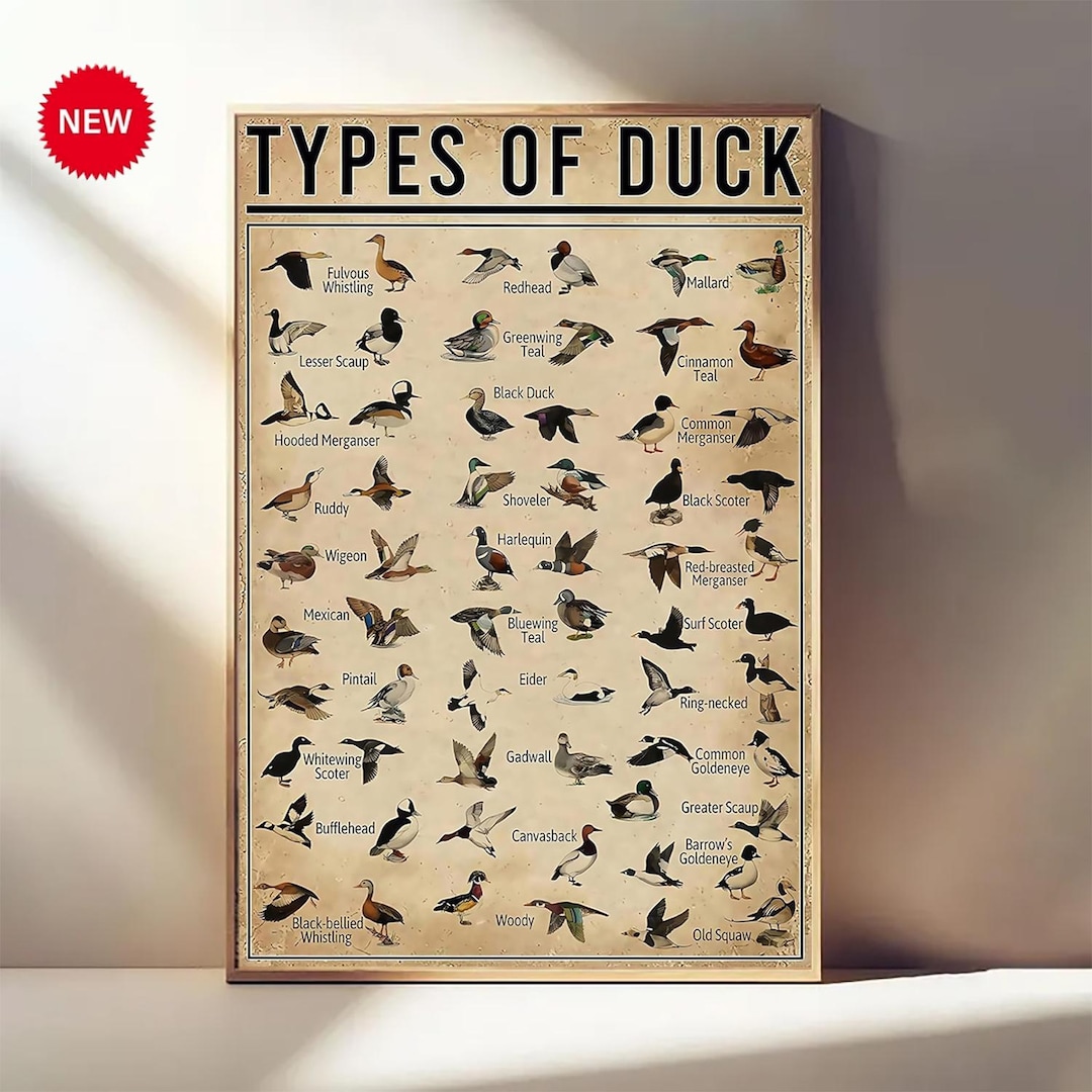 Types of Ducks Poster – Vintage Duck Wall Art – Duck Hunting Decor ...