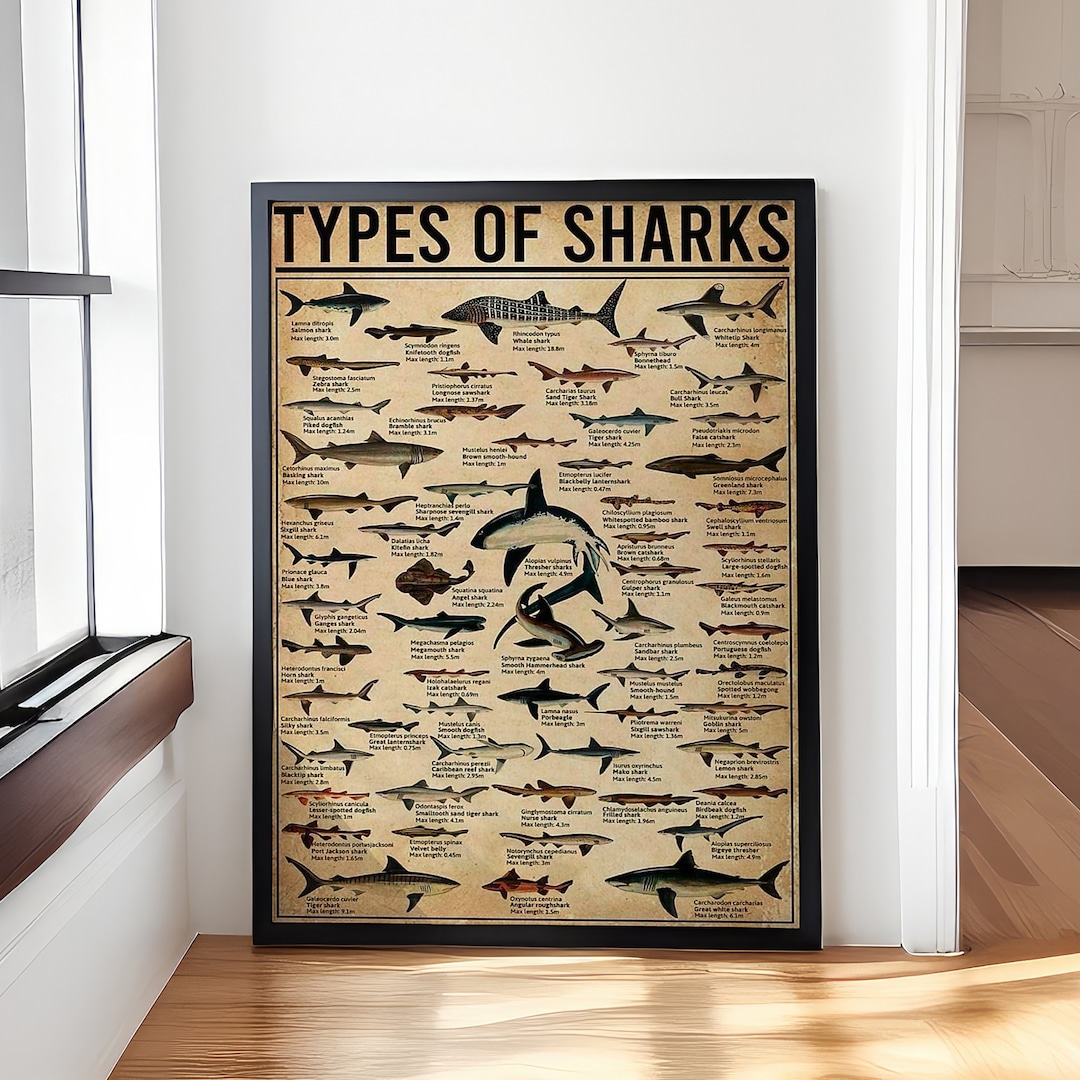 Types of Shark Poster/canvas, Fun World Education Science Classroom ...