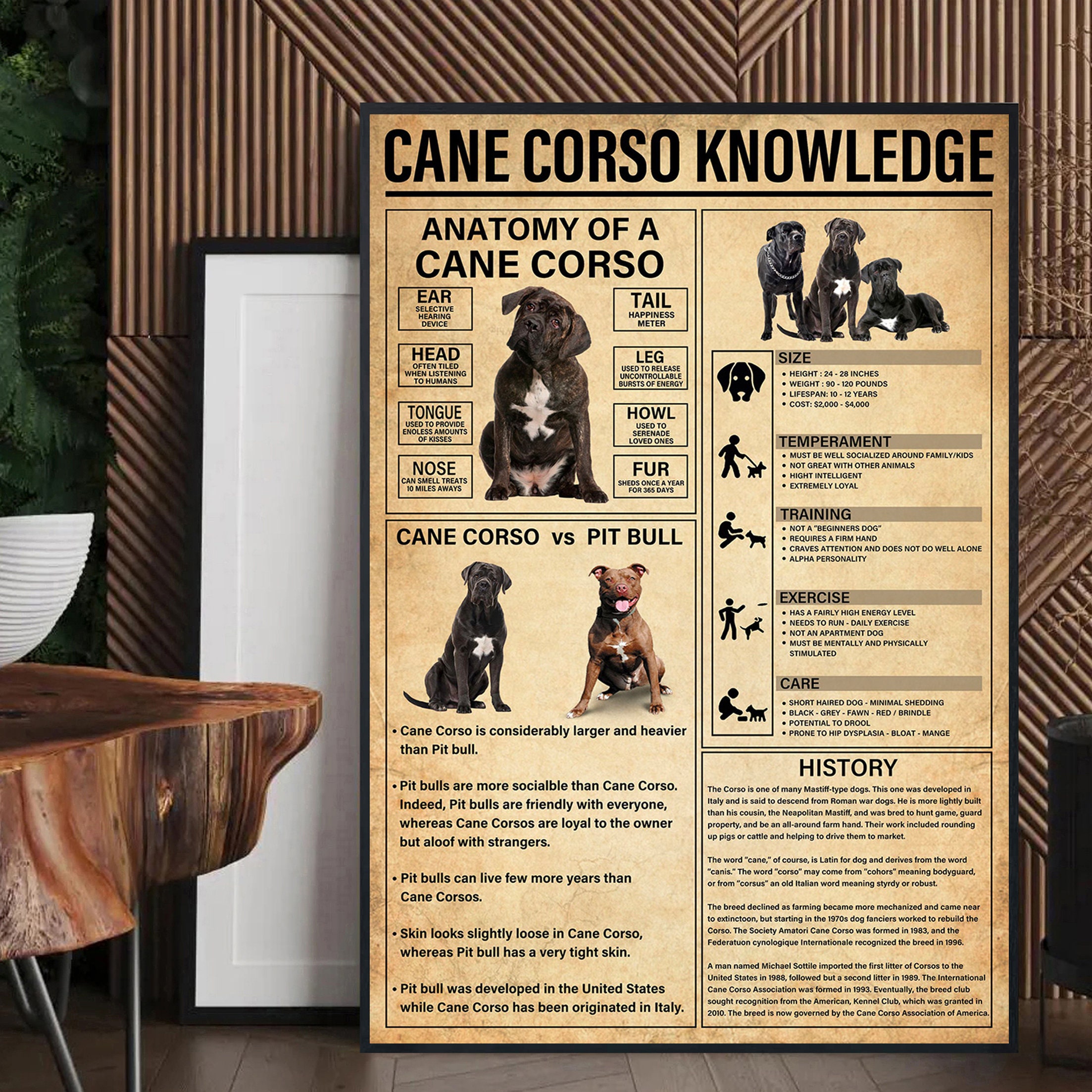 Cane Corso Knowledge Poster/canvas Knowledge Poster Vintage - Etsy