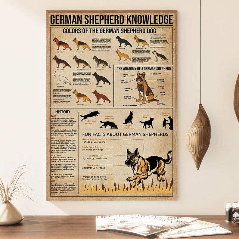 Knowledge German Shepherd Poster Vintage German Shepherd - Etsy