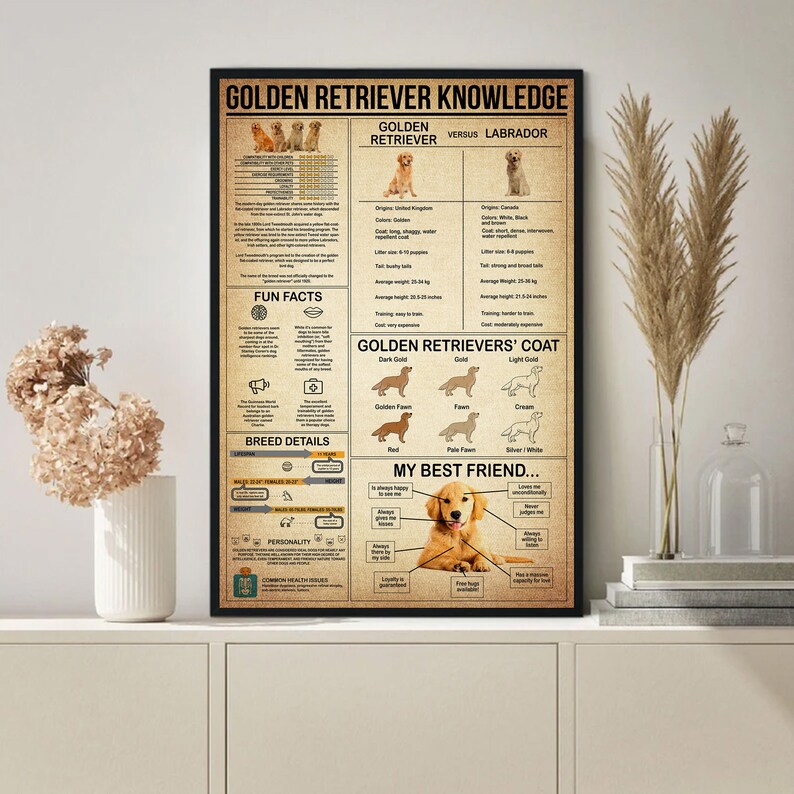 Poster Golden Retriever Knowledge Portrait Poster Knowledge - Etsy