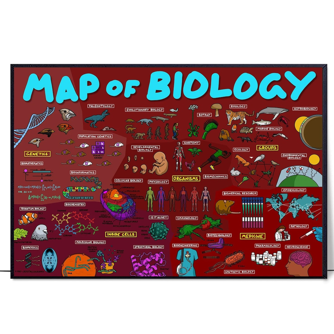 The Map of Biology Poster, Biology Poster, Biology Classroom Decor ...