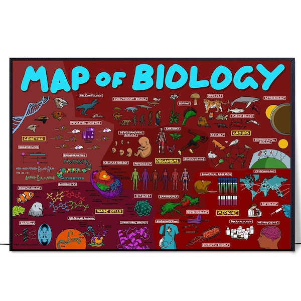 Biology Poster - Etsy