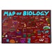 The Map of Biology Poster Wall Art, Educational Biology Poster for ...