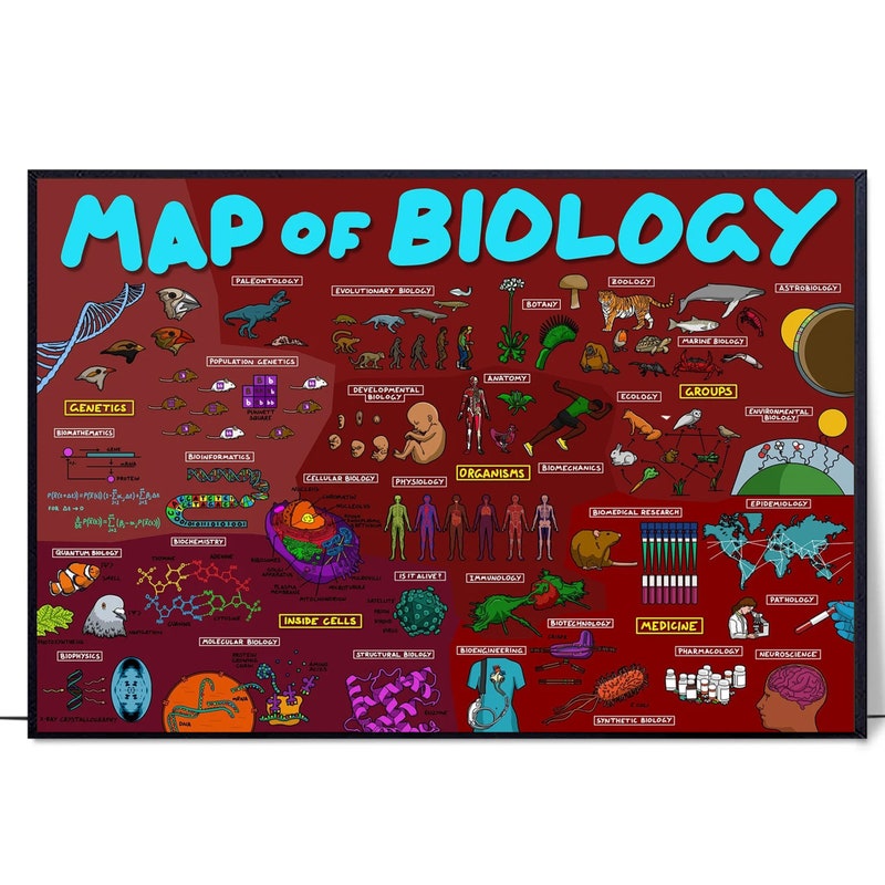 Biology Poster - Etsy