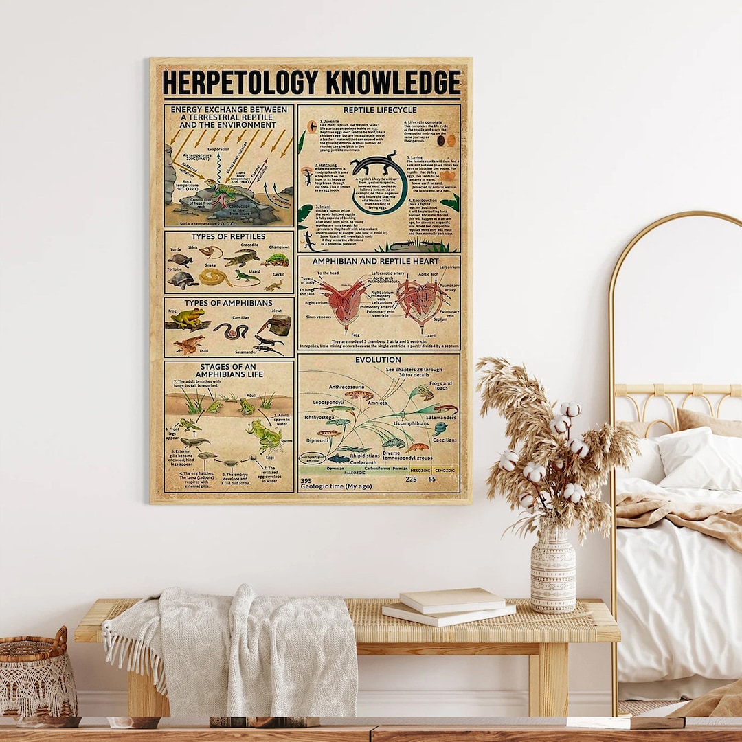 Herpetology Knowledge Poster/canvas, Anatomy Infographic School ...