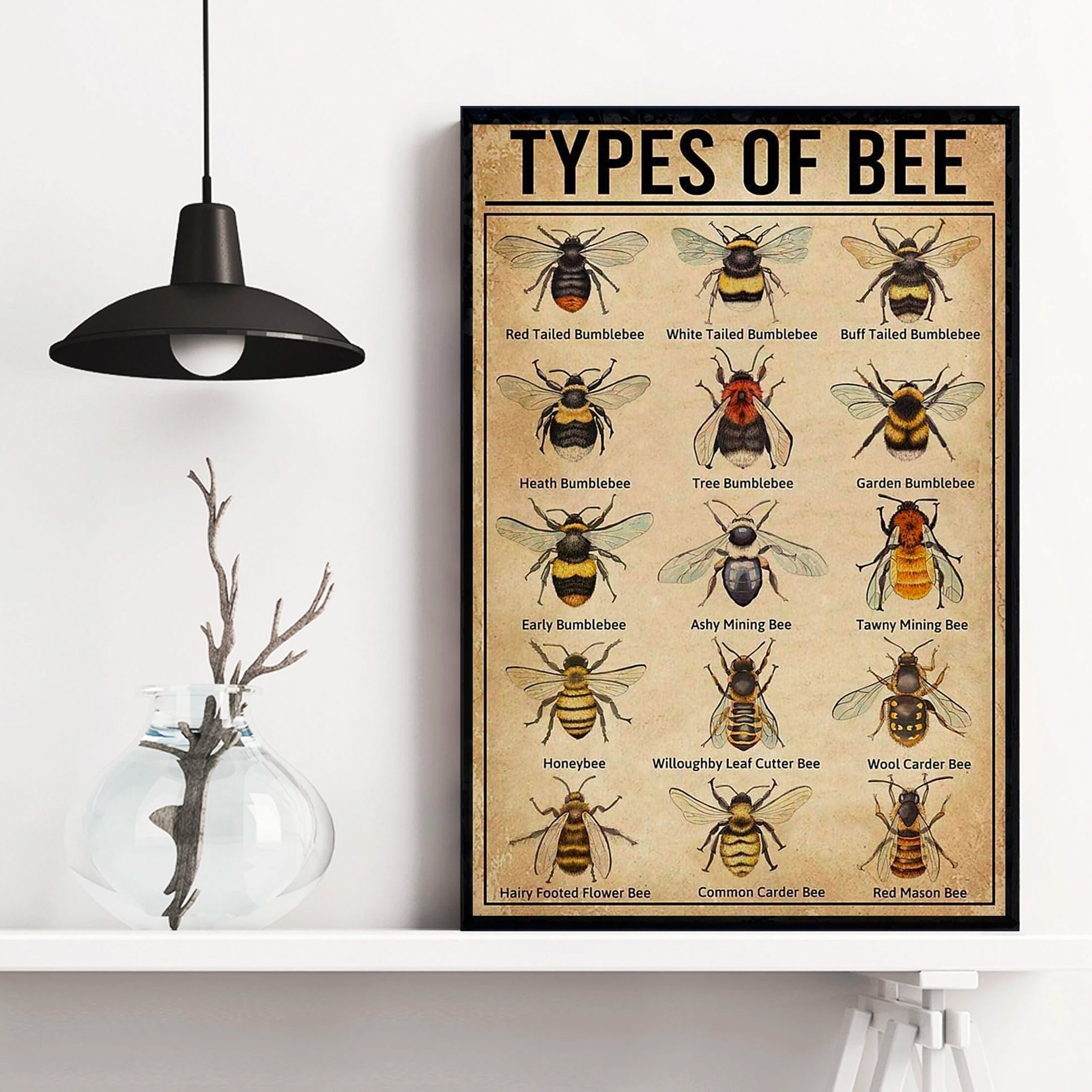 Types of Bee Retro Nostalgic Art Print Poster, Bee Types Canvas Poster ...