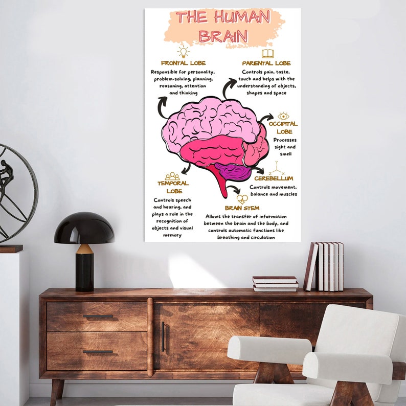 The Human Brain Poster, Mental Health Office Print, Therapy Decor Art ...