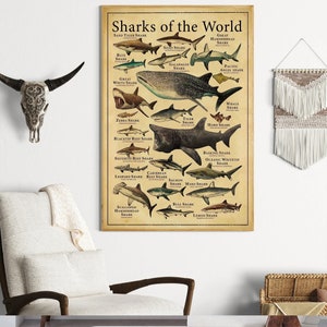 Sharks of the World Retro Poster/canvas, Sharks Vintage Poster, Shark ...