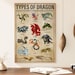 Types of Dragon Knowledge Poster/canvas , Knowledge Poster, Vintage ...