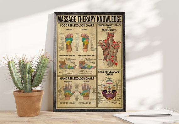 Massage Therapist Knowledge Foot Reflexology Chart The 3 Massages For