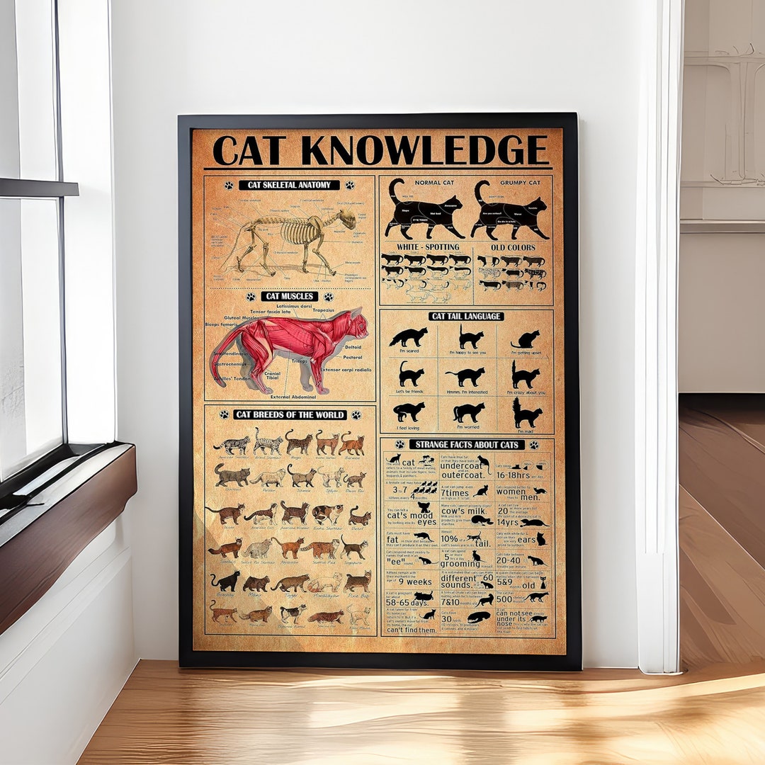 Cat Knowledge Poster, Cat Skeletal Anatomy, Cat Muscles, Cat Breeds of ...