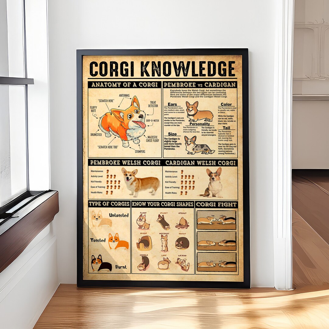Corgi Knowledge Funny Dog Poster, Vintage Corgi Lover Gift, Dog Lover ...