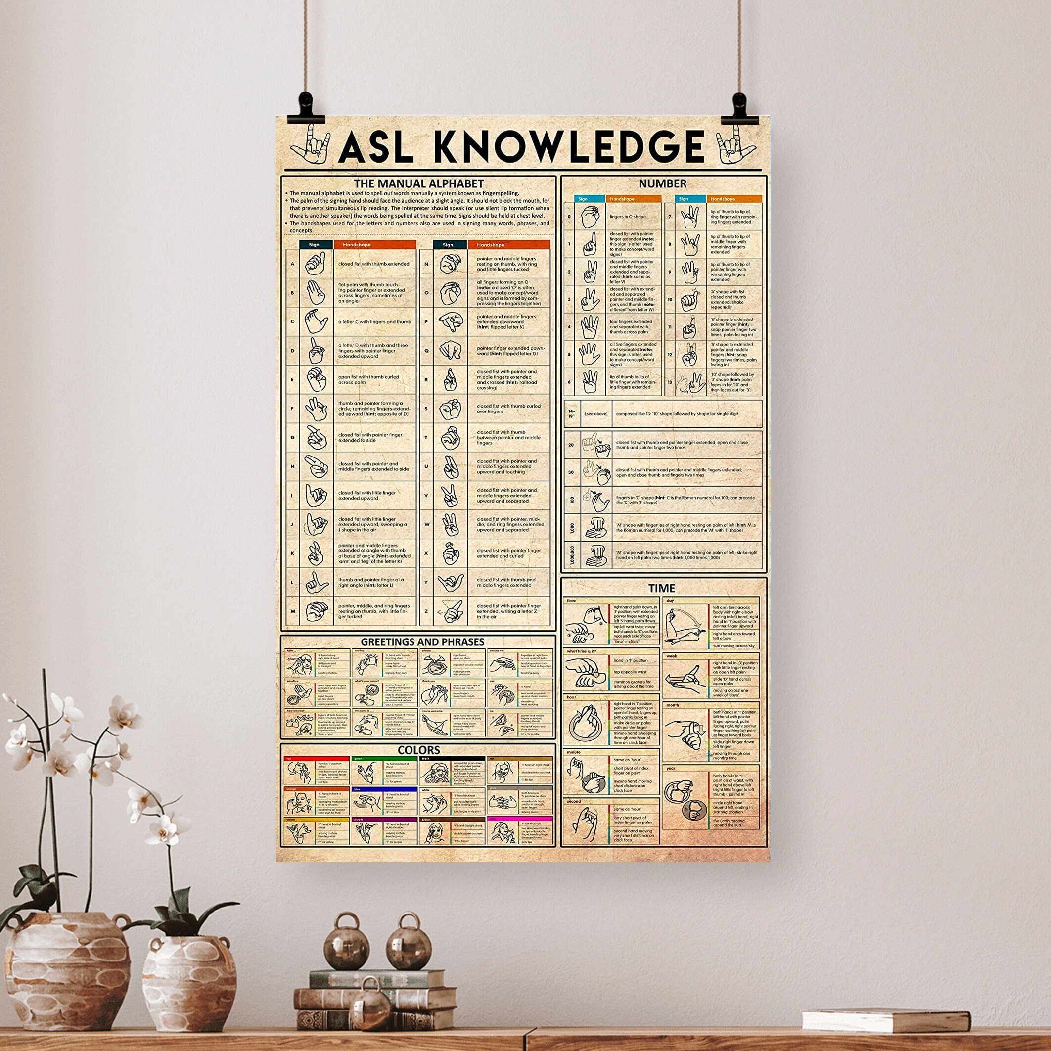 ASL Knowledge Poster, American Sign Language Alphabet, Number, Color ...